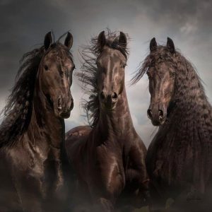 The 4 Horsemen of the Apocalypse: Exploring the Names of the Horses ...