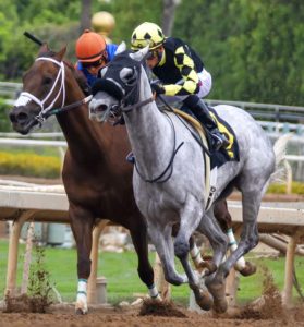 Horse Racing for Beginners: How to Enjoy the Sport | Winners Wire